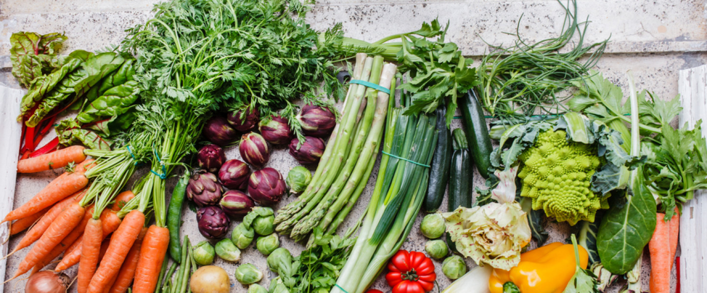 M&S Produce and Deli Outlet | Egg Harbor Township, NJ